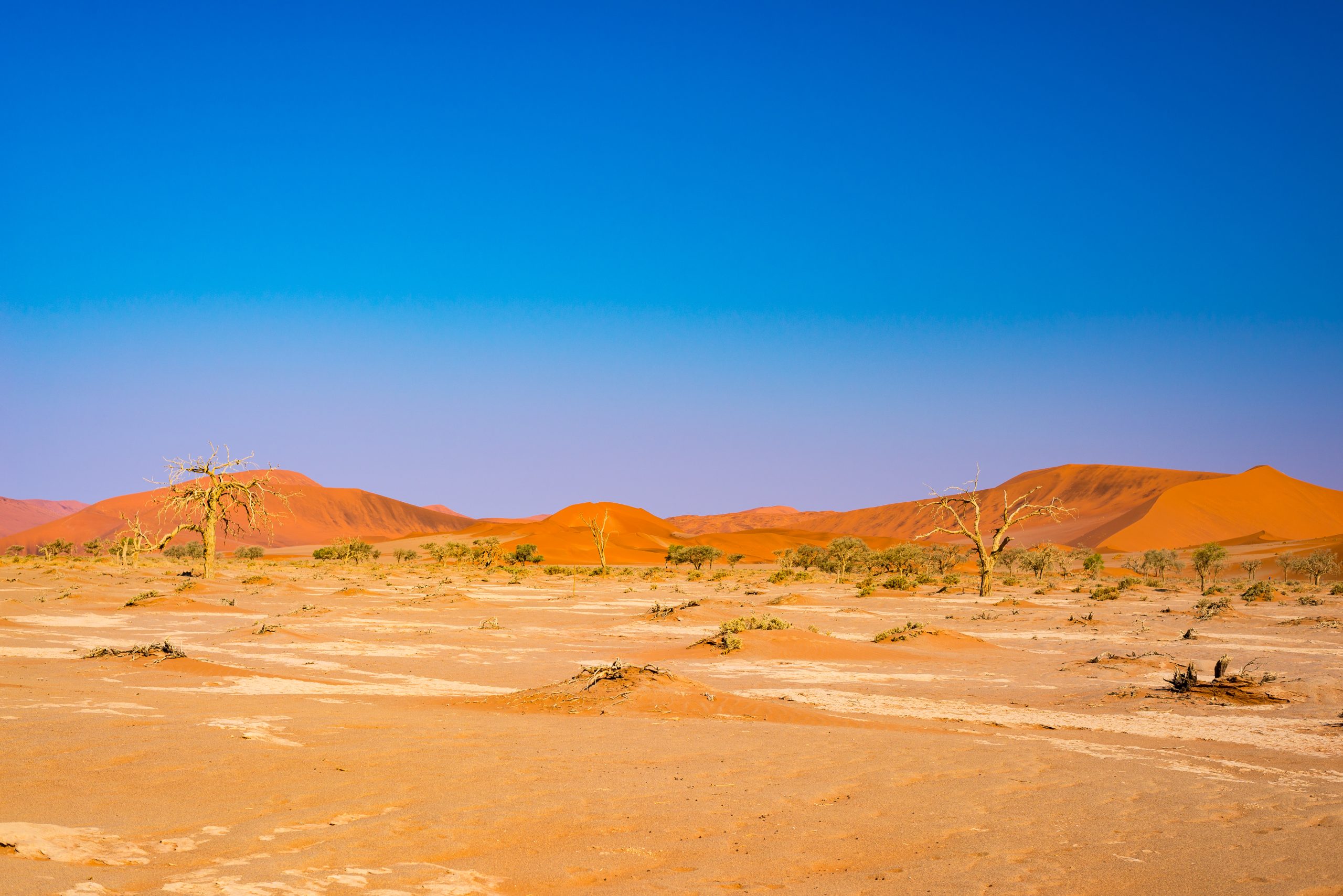 8 Days Namibian Safari