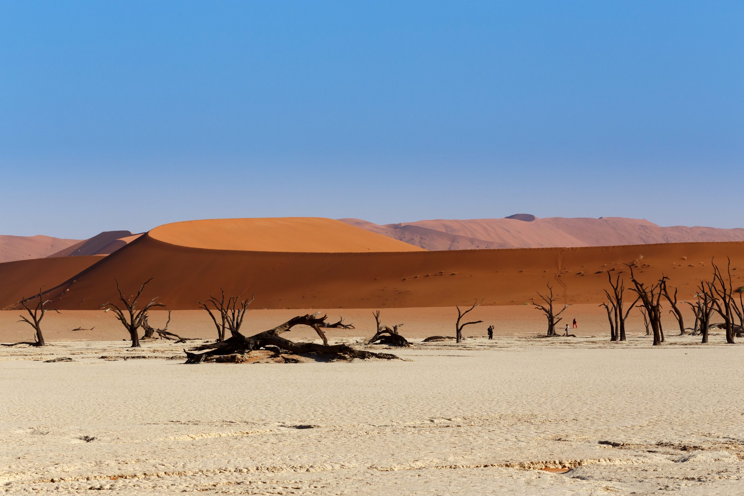 15 Days Namibia Safari Tour